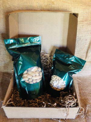 Two Pound Salted & Chocolate-Covered Peanut Gift Box | Newsoms Peanut Shop